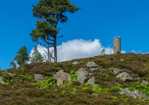 Monthly Letter – February 2022 – Gilcomston Church