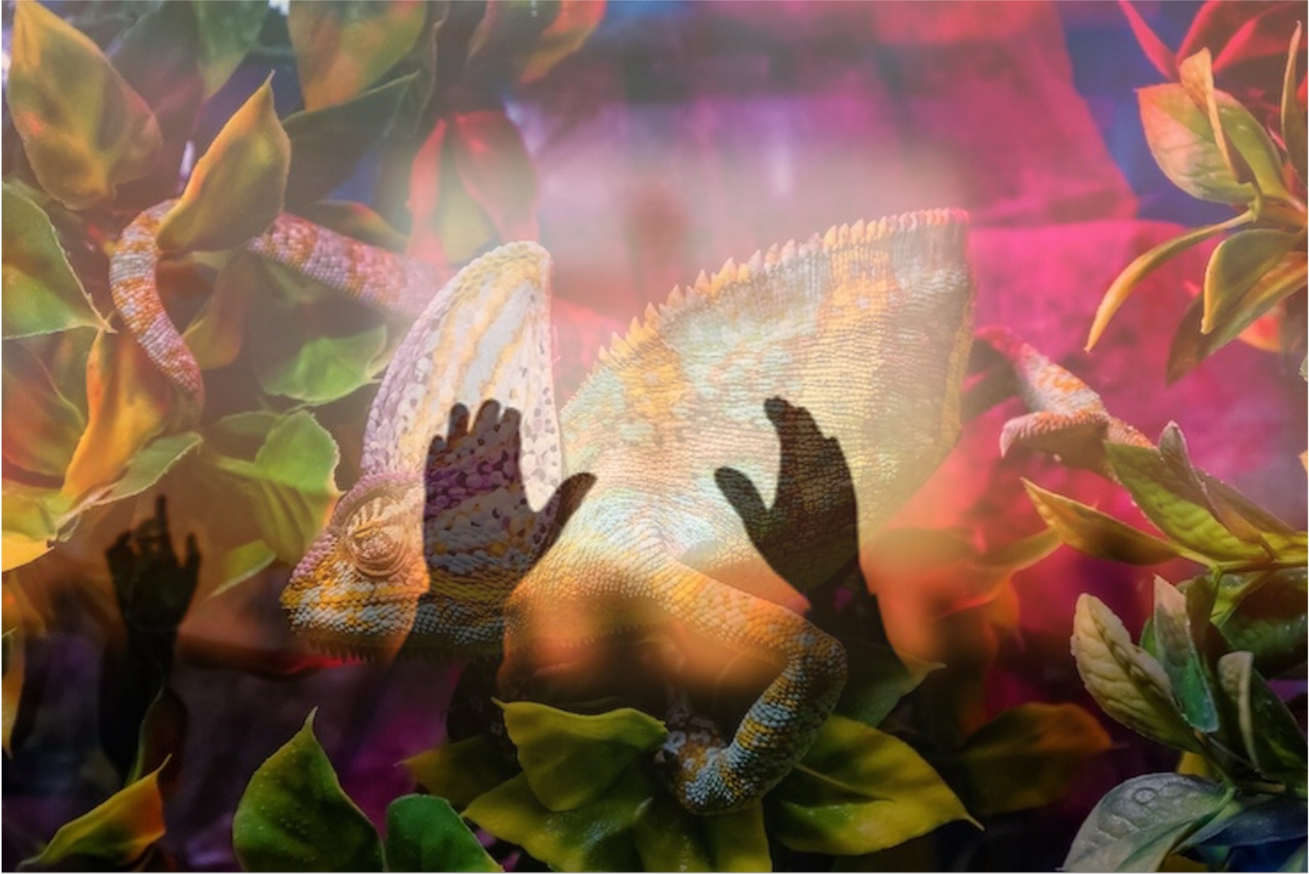 Monthly Letter, March 2022 – Gilcomston Church